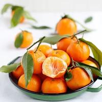 Jual Jeruk Baby Pacitan Terdekat - Harga Murah & Grosir Mei 2024