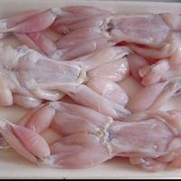 Jual Daging Kodok Terdekat - Harga Murah & Grosir Oktober 2025