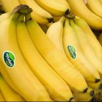 Jual Pisang Sunpride 1 Dus Murah - Harga Terbaru 2025