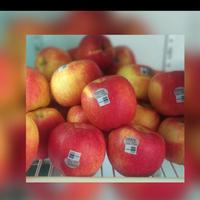 Jual Apel Envy Terdekat - Harga Murah & Grosir April 2024