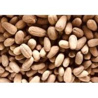 Jual Biji Pala 1 Kg Terdekat - Harga Murah & Grosir April 2025