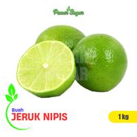 Jual Jeruk Nipis 1kg Murah - Harga Terbaru 2024