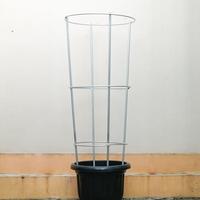 Jual Rambatan Anggur Murah - Harga Terbaru 2024