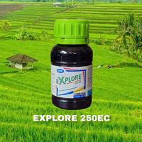 Jual Fungisida Explore Terbaik - Harga Murah Februari 2024 & Cicil 0%