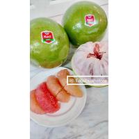 Jual Buah Jeruk Bali Terdekat - Harga Murah & Grosir Juni 2024