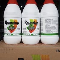 Jual Roundup Murah & Terbaik - Harga Terbaru Maret 2025