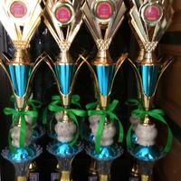Jual Piala Lomba Terlengkap - Harga Murah & Grosir Maret 2024