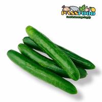 Timun Segar Kualitas Terbaik & Termurah Februari 2024