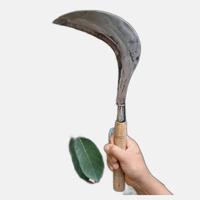 Jual Parang Babat Terlengkap - Harga Terbaru Januari 2024 & Cicilan 0%