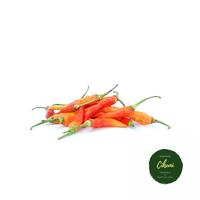 Jual Cabe Rawit Domba Terbaik - Harga Murah Juni 2024 & Cicil 0%