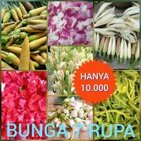 Jual Kembang Tujuh Rupa Terlengkap - Harga Murah Juni 2024
