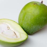 Jual Mangga Apel Terdekat - Harga Murah & Grosir Juni 2024