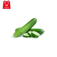Jual Timun 1kg Murah - Harga Terbaru 2024