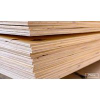 Jual Triplek 6Mm Terbaik - Harga Murah Mei 2024 & Cicil 0%