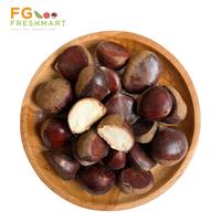 Jual Chestnut Terdekat - Harga Murah & Grosir Juni 2024