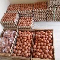 Jual Telor 1 Kg Terdekat - Harga Murah & Grosir Mei 2025