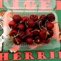 Jual Buah Cherry Segar Terdekat - Harga Murah & Grosir Juni 2024