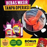 Jual Daun Untuk Ambeien Murah - Harga Terbaru April 2024