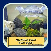 Jual Fish Bowl Terlengkap - Harga Terbaru Maret 2025 & Cicilan 0%