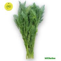 Jual Daun Dill Terdekat - Harga Murah & Grosir April 2024