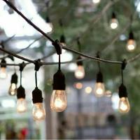 Jual Lampu Cafe Terlengkap - Daftar Harga Maret 2025 & Cicilan 0%