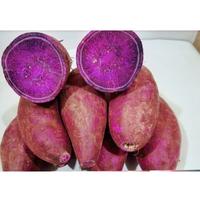 Jual Ubi Ungu 1 Kg Terdekat - Harga Murah & Grosir Mei 2024