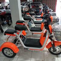 Sepeda Listrik Roda 3 Desain Terkini & Canggih Maret 2023