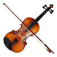 Jual Violin Terlengkap - Harga Murah Februari 2025