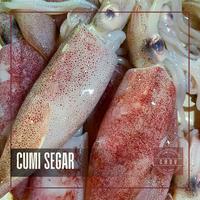 Jual Cumi Segar Terdekat - Harga Murah & Grosir April 2025