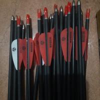 Jual Arrow Carbon Musen Terbaik - Harga Murah Juni 2024 & Cicil 0%