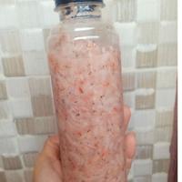 Jual Udang Rebon Terdekat - Harga Murah & Grosir April 2025