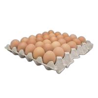 Jual Krat Telur Terdekat - Harga Murah & Grosir Mei 2024