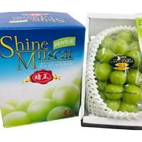 Jual Shine Muscat Terlengkap - Harga Murah April 2024