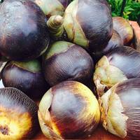 Jual Buah Lontar Terdekat - Harga Murah & Grosir April 2024