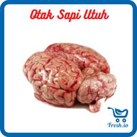 Otak Sapi Fresh & Harga Termurah Februari 2024