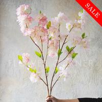 Jual Bunga Mei Hwa Terlengkap - Harga Murah & Grosir Mei 2024