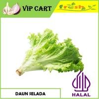 Daun Selada Harga Termurah - Pilihan Favorit