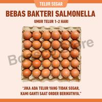 Jual Krat Telur Terdekat - Harga Murah & Grosir Desember 2023