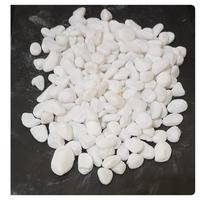 Jual Batu Coral Putih Terlengkap & Terbaik - Harga Murah Juni 2024