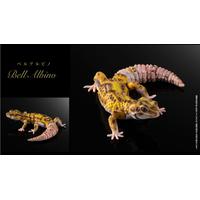 Review Bandai Premium Gashapon Gacha Leopard Gecko - Bell Albino dango ...