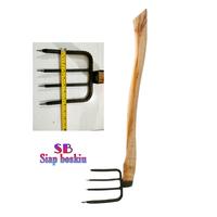 Jual Cangkrang Terlengkap - Harga Murah & Grosir Februari 2024