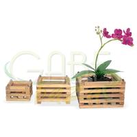 Jual Pot Anggrek Kayu Terbaik - Harga Murah Maret 2024 & Cicil 0%