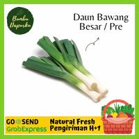 Bawang Prei Harga Termurah - Kualitas Terbaik