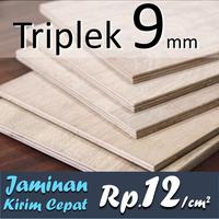 Jual Triplek 9 Mm Terbaik - Harga Murah Mei 2024 & Cicil 0%