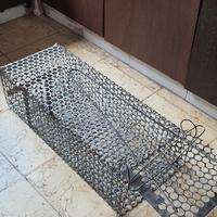 Jual Perangkap Musang Terlengkap & Terbaik - Harga Murah April 2024