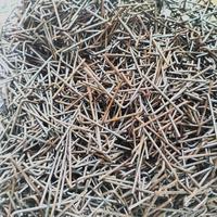 Jual Allen Wrench Terbaik - Harga Murah April 2024 & Cicil 0%