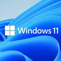 Jual Windows 11 Pro Original Murah - Harga Terbaru 2023