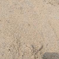 Jual Pasir 1 Truk Terbaik - Harga Murah Juni 2024 & Cicil 0%