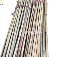 Jual Tiang Bendera Bambu Murah & Terbaik - Harga Terbaru April 2024