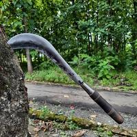 Jual Parang Tajam Terlengkap - Harga Terbaru Februari 2025 & Cicilan 0%